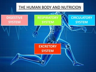 The human body and interaction | PPTX