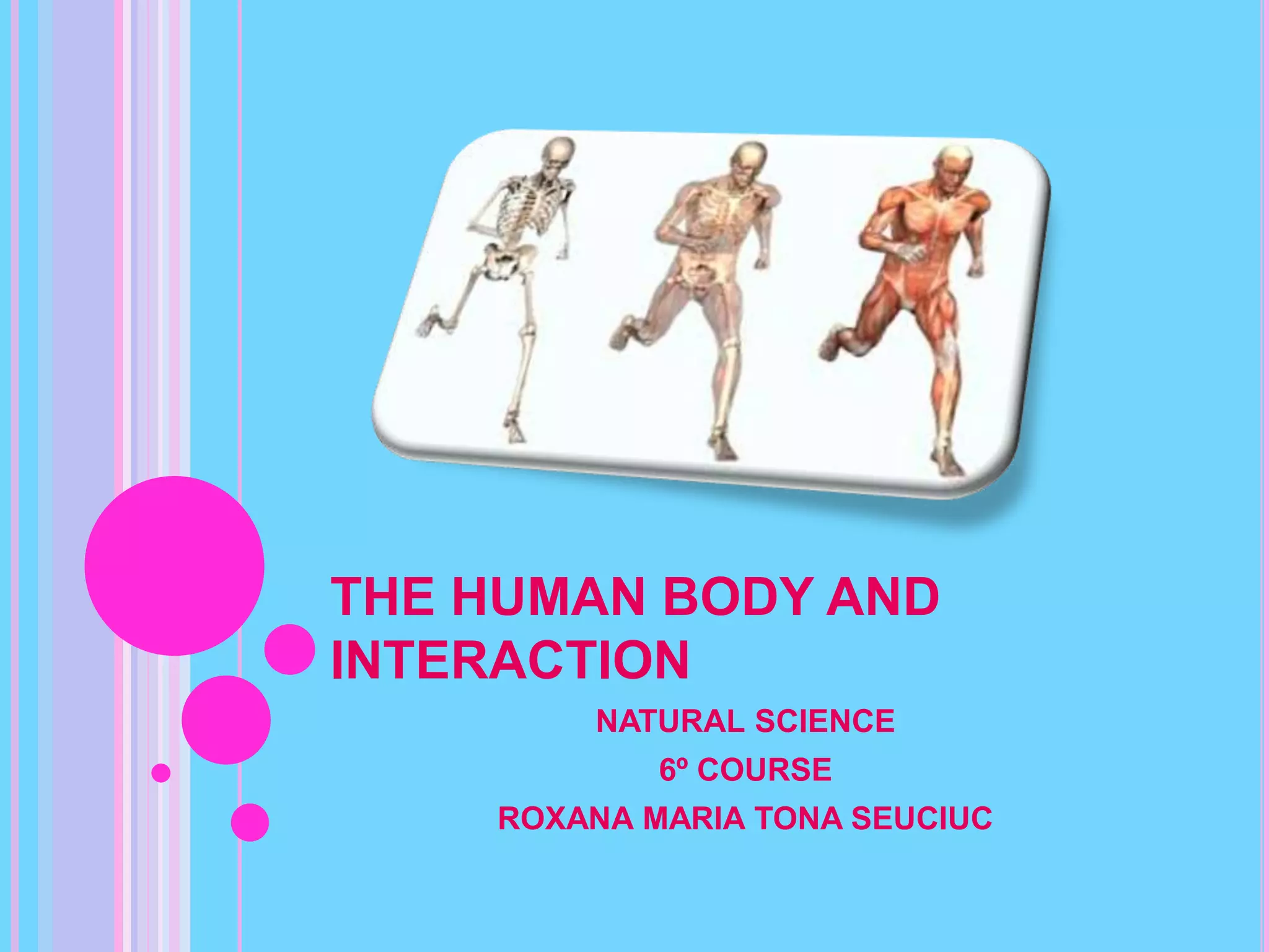 The human body and interaction | PPT