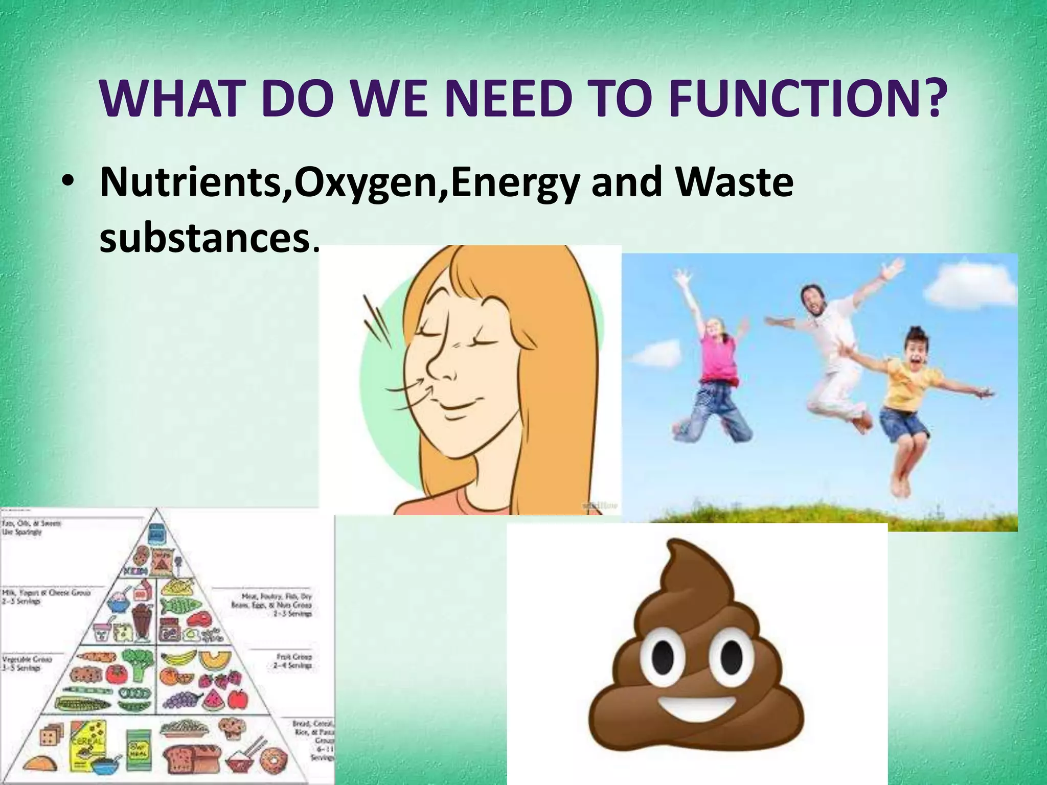 The human body and interaction (allahu akbar) xd | PPTX | Lung and ...