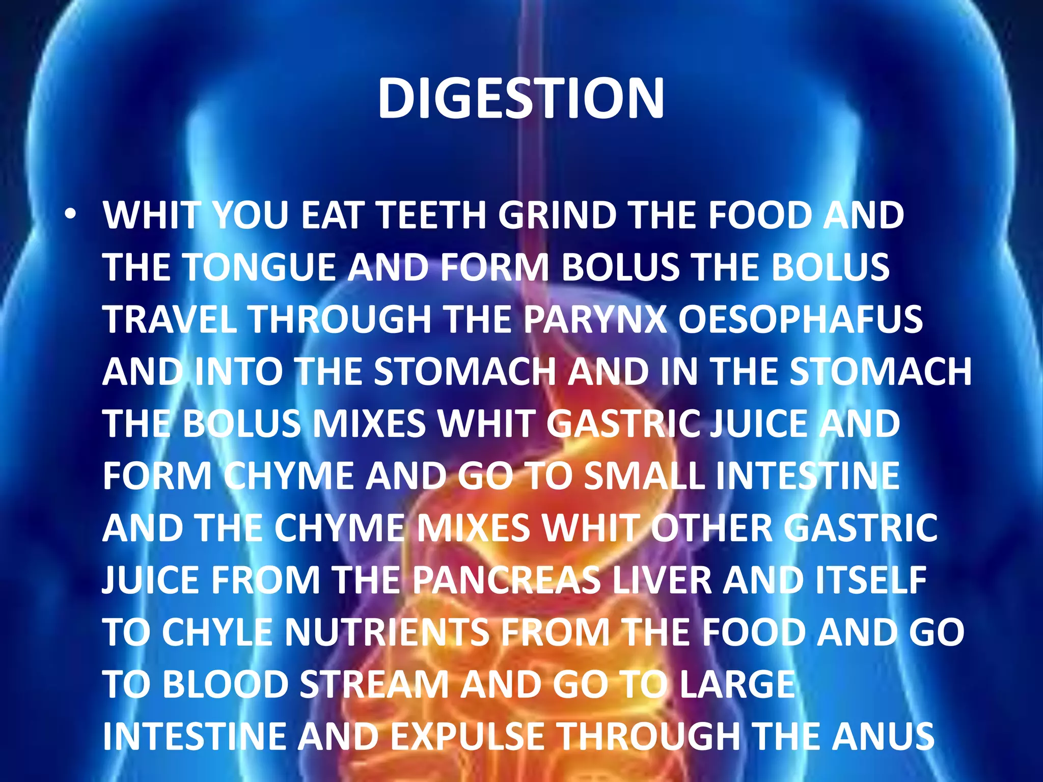 The human body and nutricion | PPTX