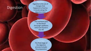 The human body and nutrition | PPT