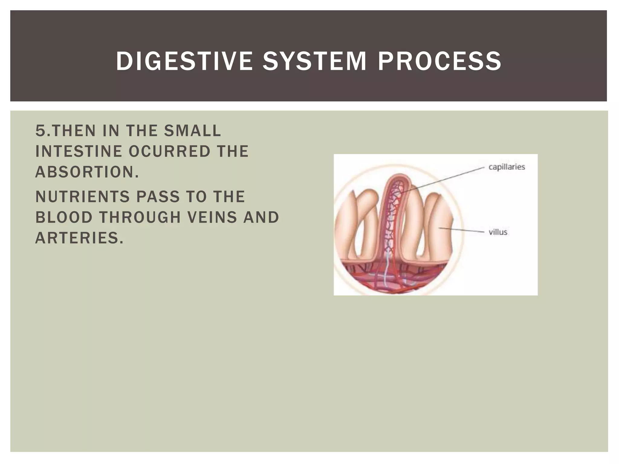 The human body and nutrition | PPTX