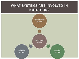 The human body and nutrition | PPTX