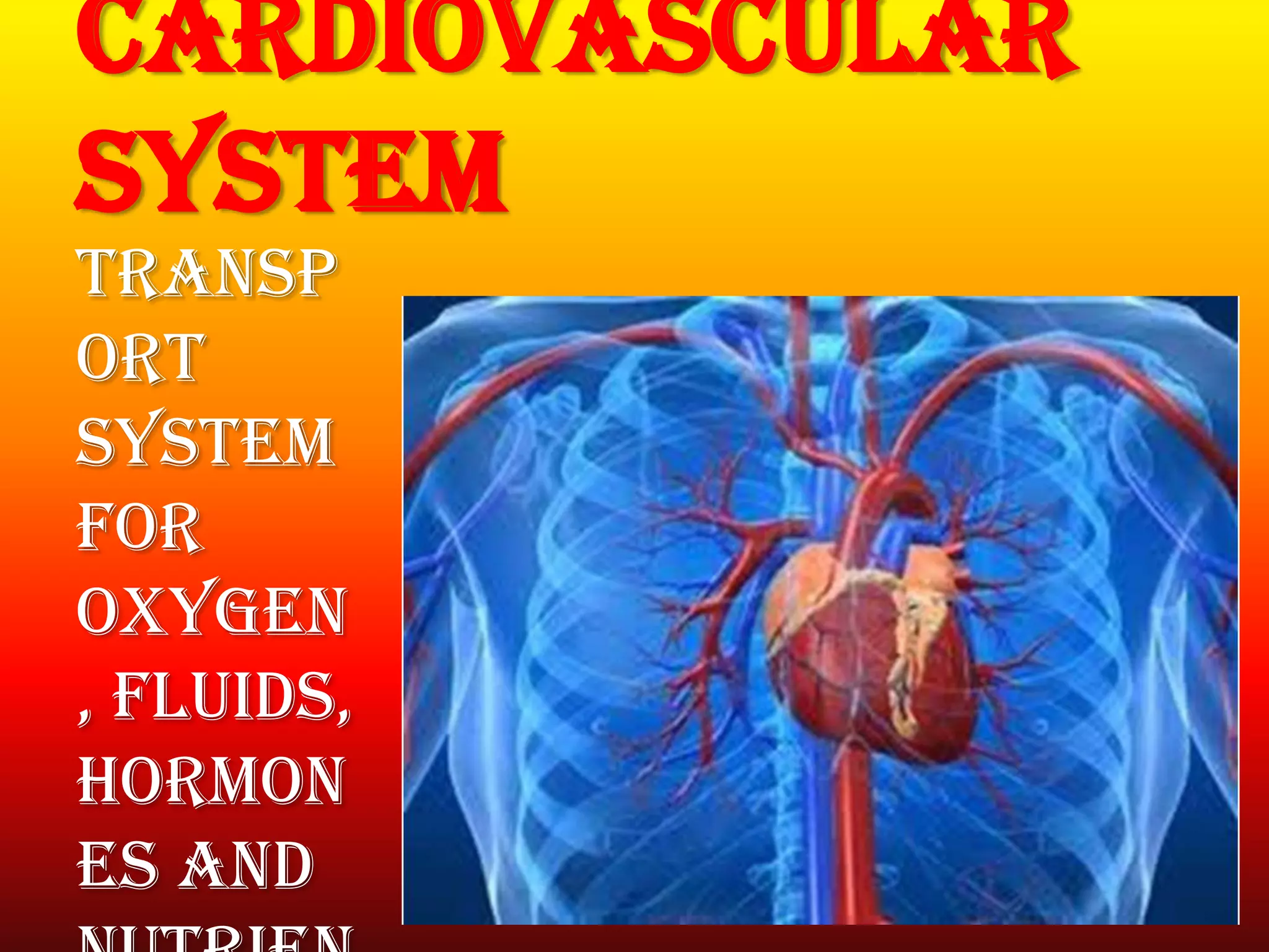 The Human Body ~ ED 103 PowerPoint | PPTX