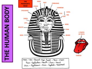 The human body egypt | PPTX
