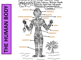 The human body egypt | PPTX