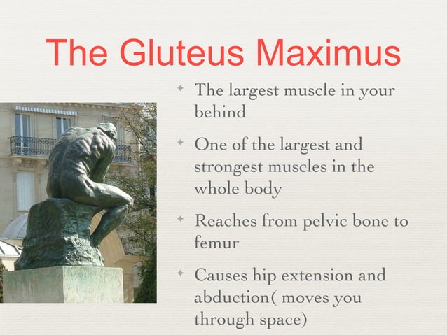 The humanbodyinsculpture | PPT