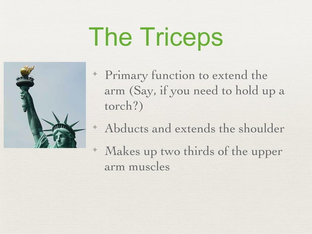 The humanbodyinsculpture | PPT