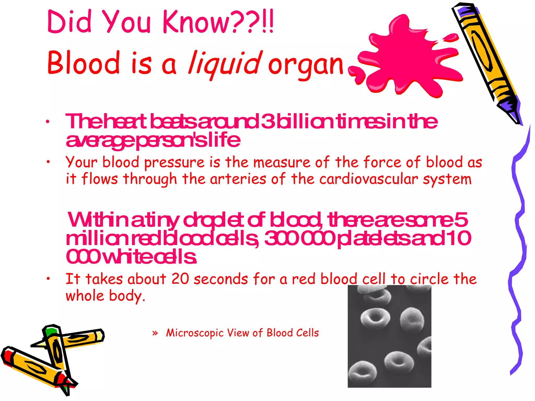 The Human Body | PPT