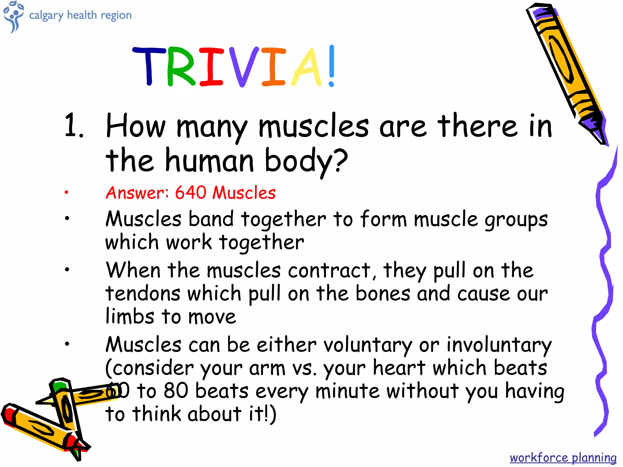 The Human Body | PPT