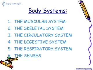 The Human Body | PPT