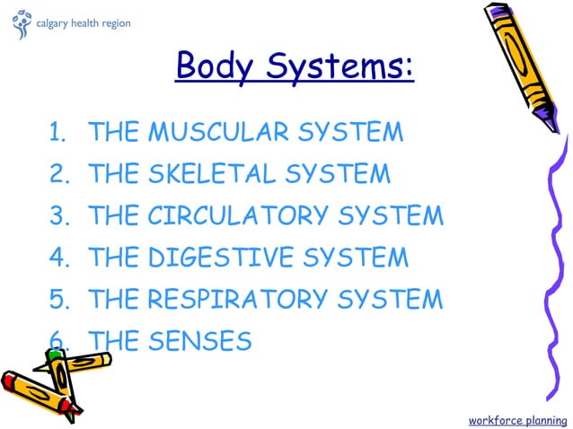 The Human Body | PPT