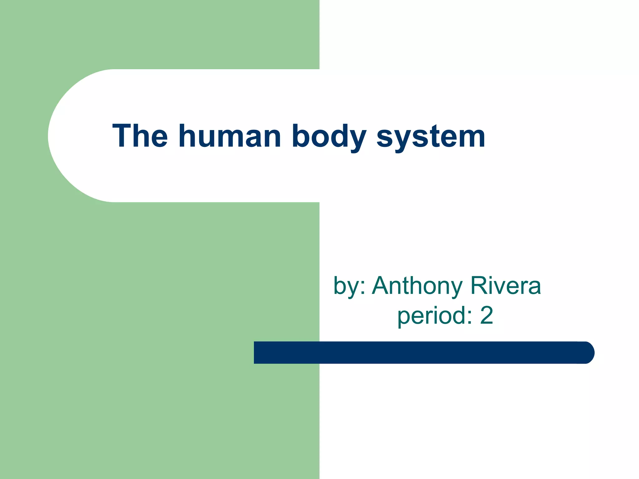The human body system | PPT