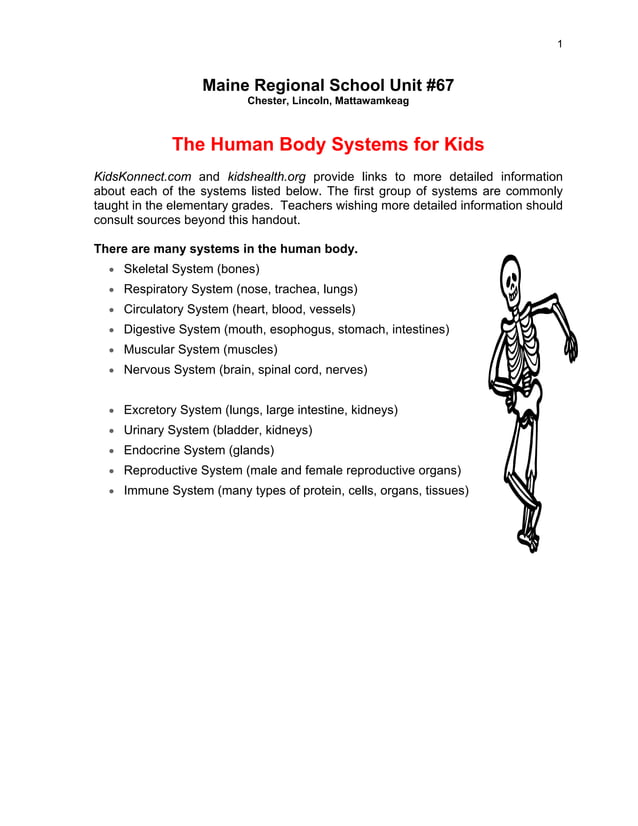 The human body systems | PDF
