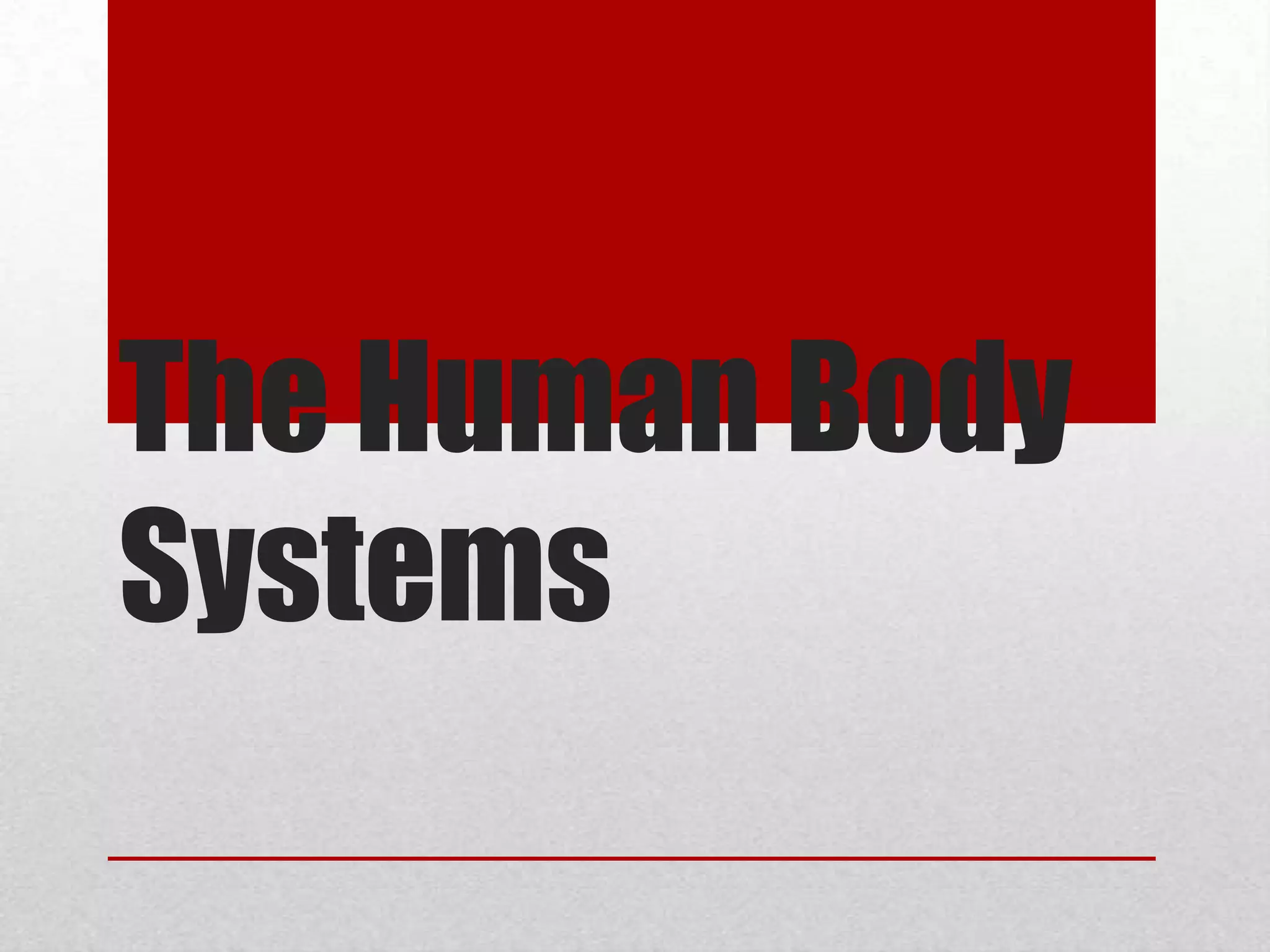 The human body systems - ppt by Janella Yecyec | PPTX
