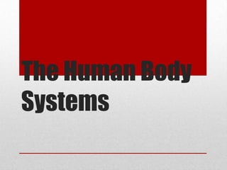 The human body systems - ppt by Janella Yecyec | PPTX