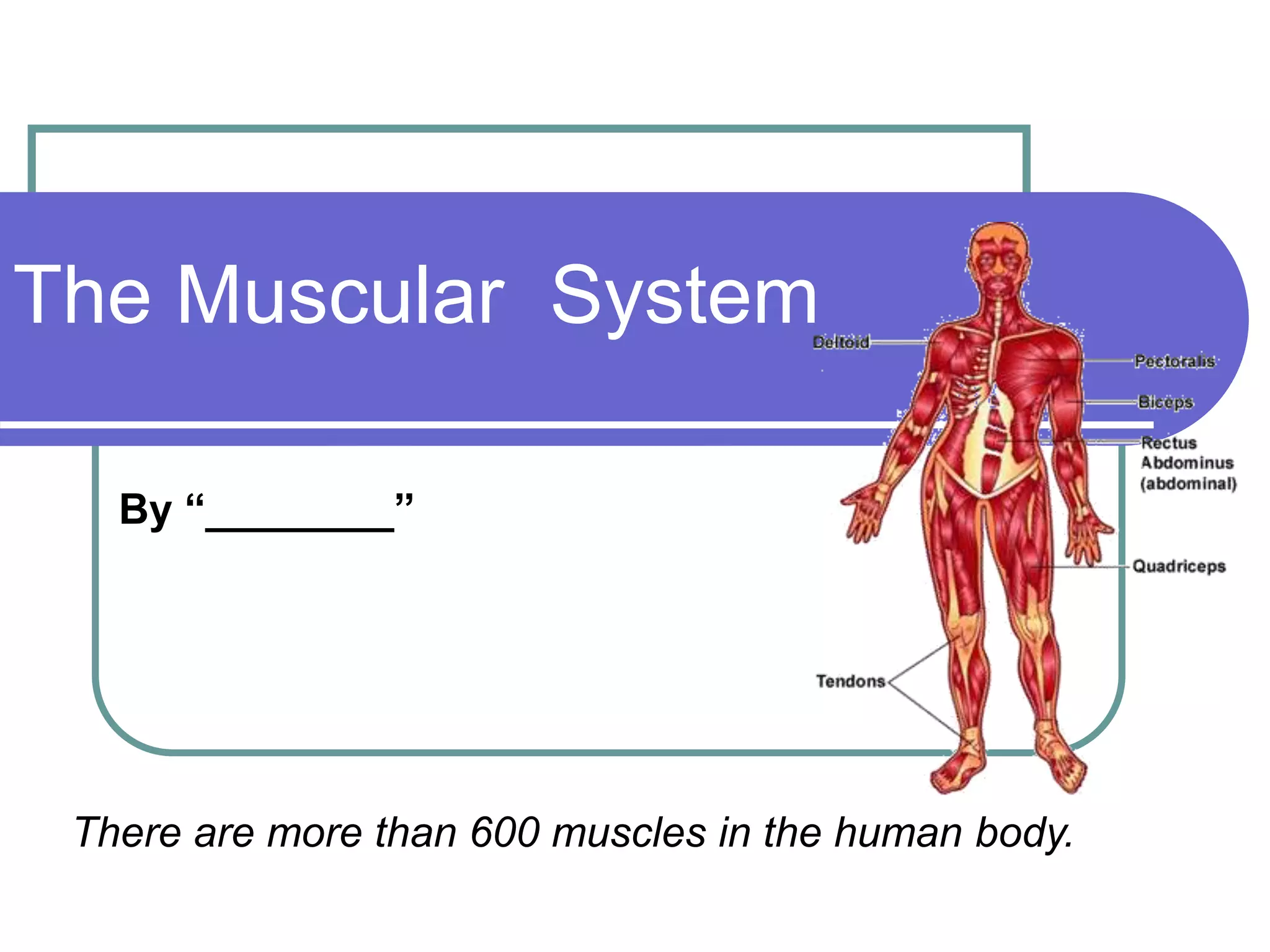The human body systems for kids (year 6 - revision) | PPT