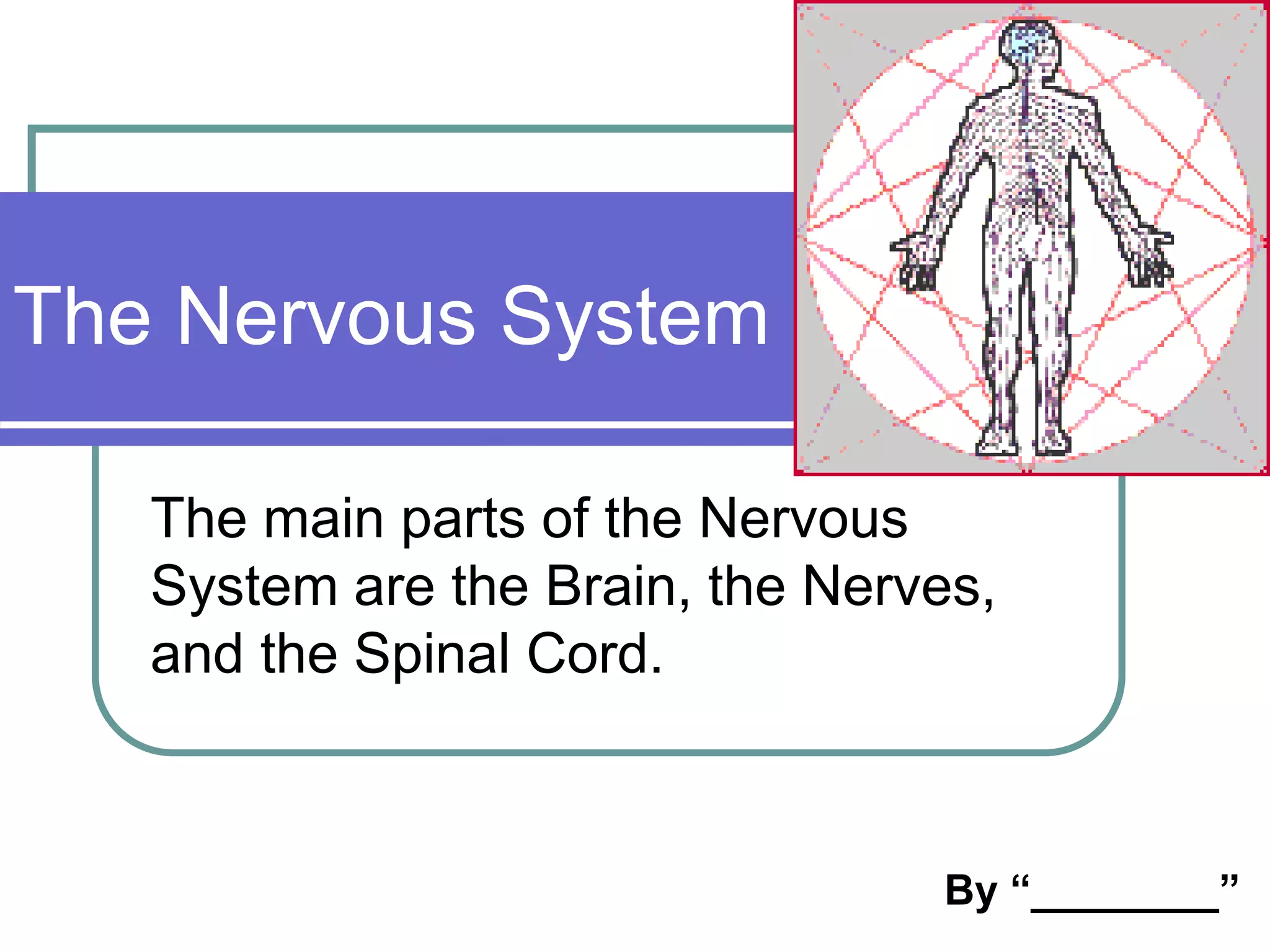 The human body systems for kids (year 6 - revision) | PPT