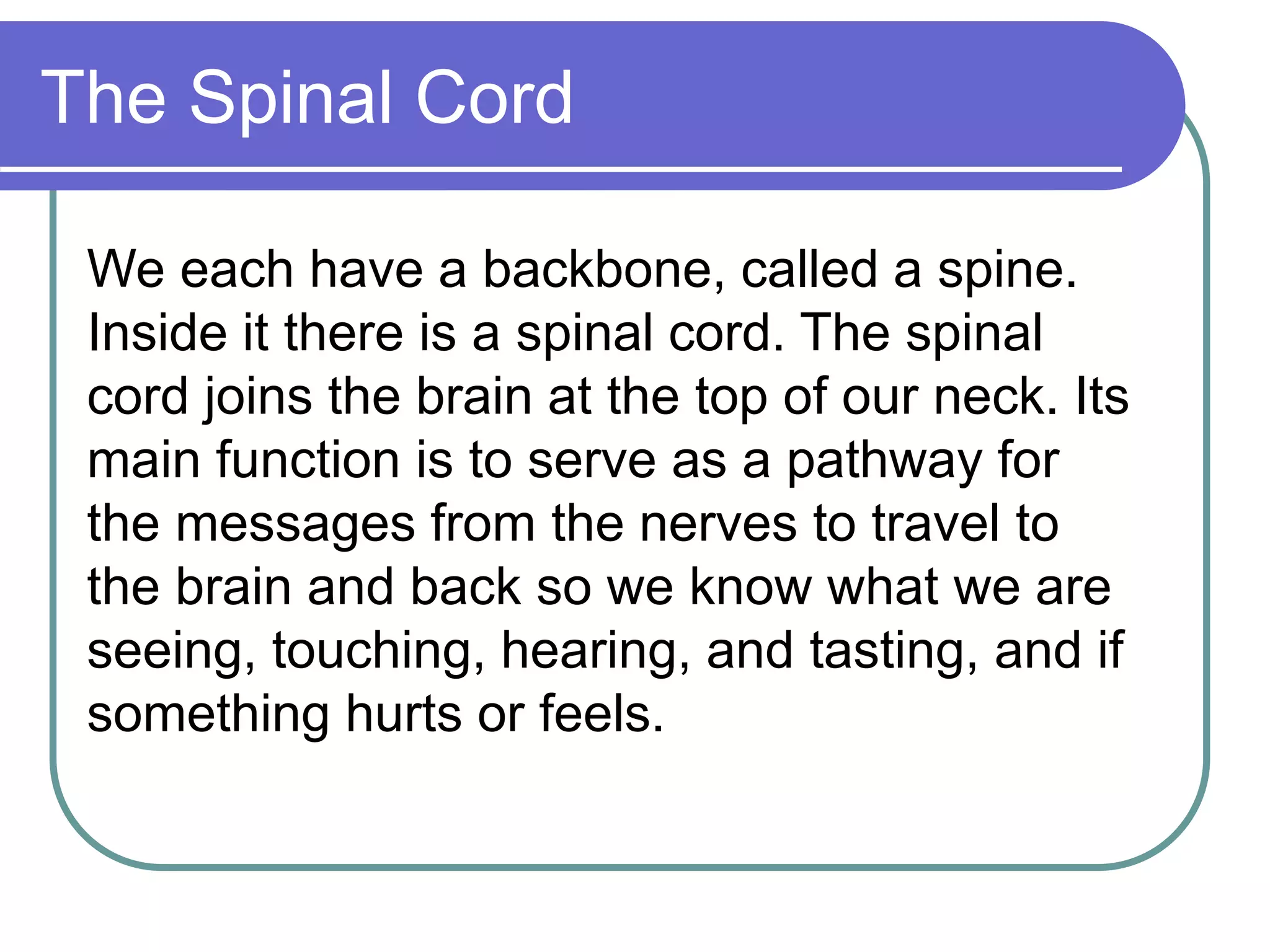 The human body systems for kids (year 6 - revision) | PPT
