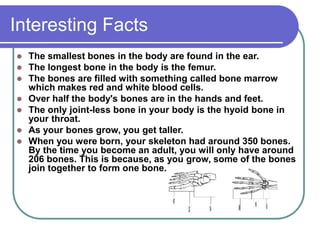 The human body systems for kids (year 6 - revision) | PPT