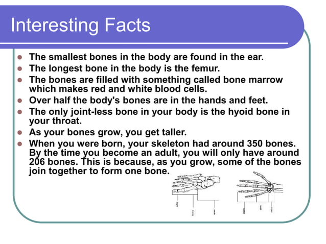 The human body systems for kids (year 6 - revision) | PPT
