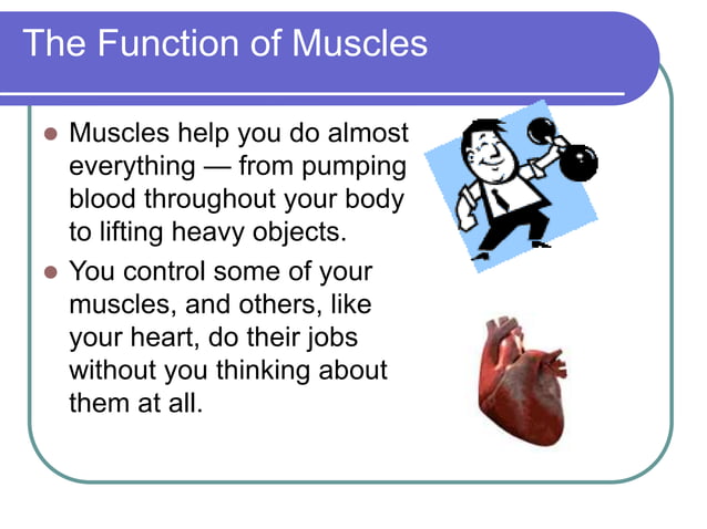 The human body systems for kids (year 6 - revision) | PPT