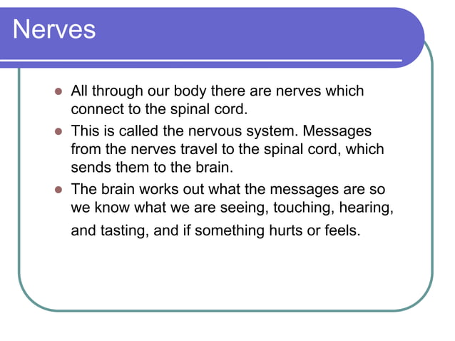The human body systems for kids (year 6 - revision) | PPT