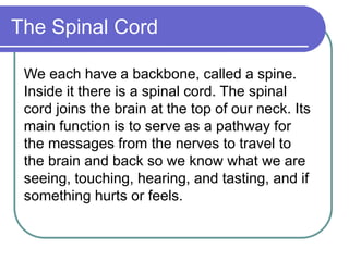 The human body systems for kids (year 6 - revision) | PPT