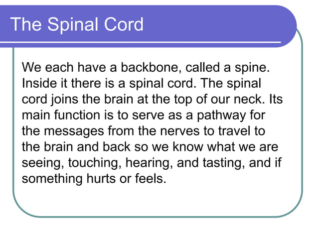 The human body systems for kids (year 6 - revision) | PPT