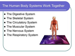 The human body systems for kids (year 6 - revision) | PPT