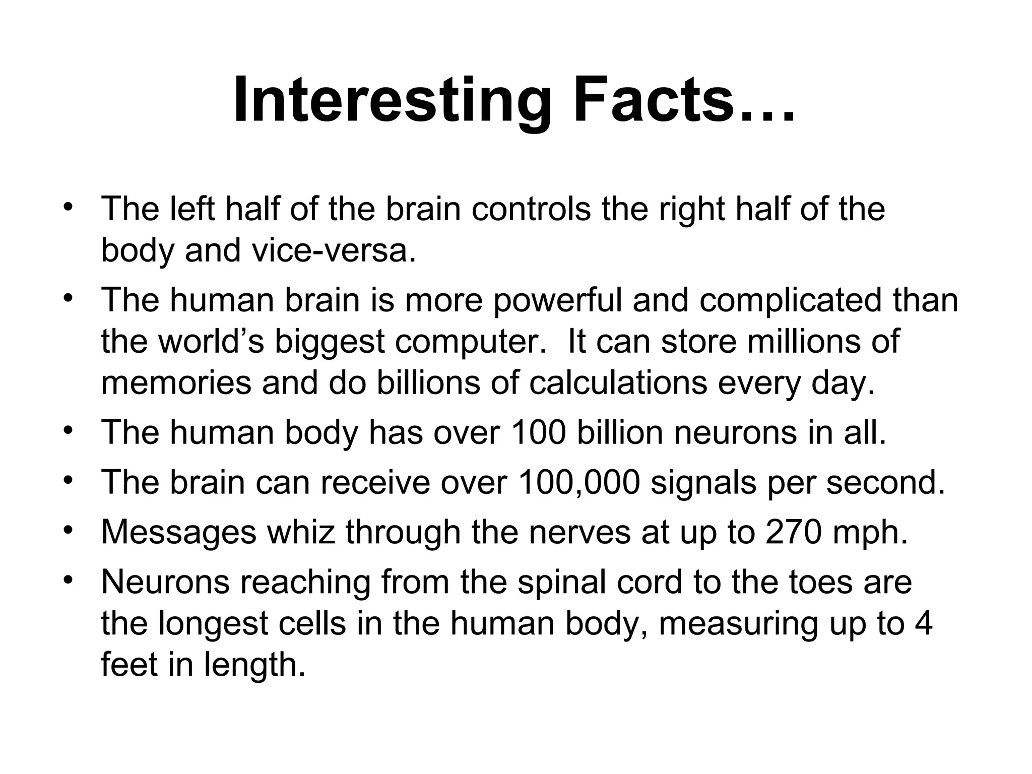 The human body systemsphatmtech | PPT