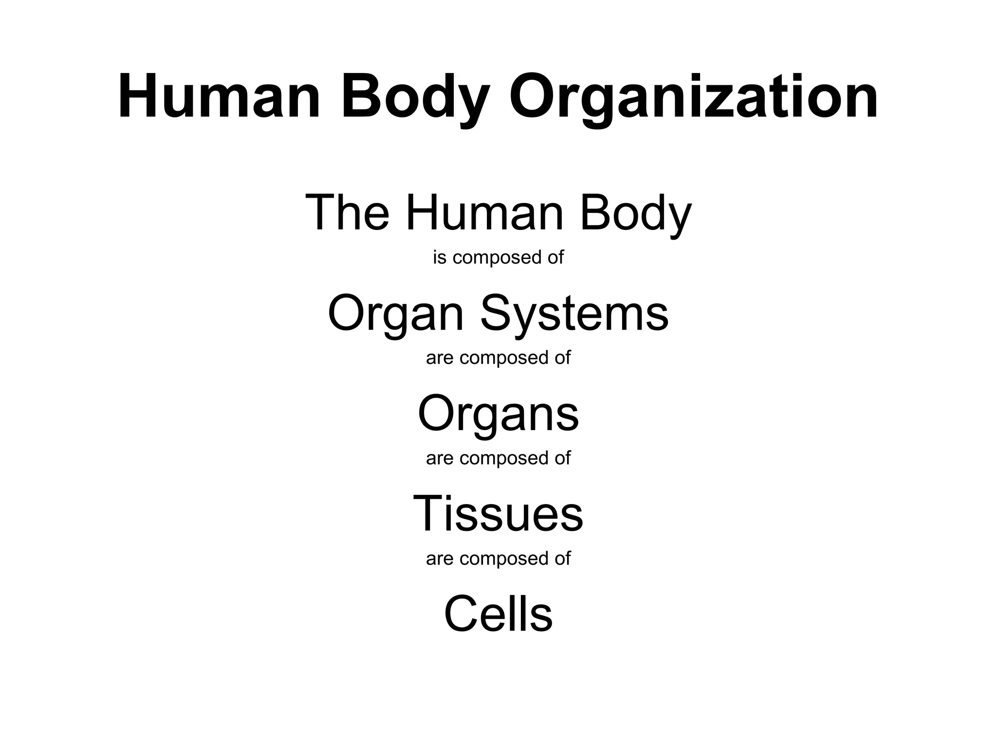 The human body systemsphatmtech | PPT