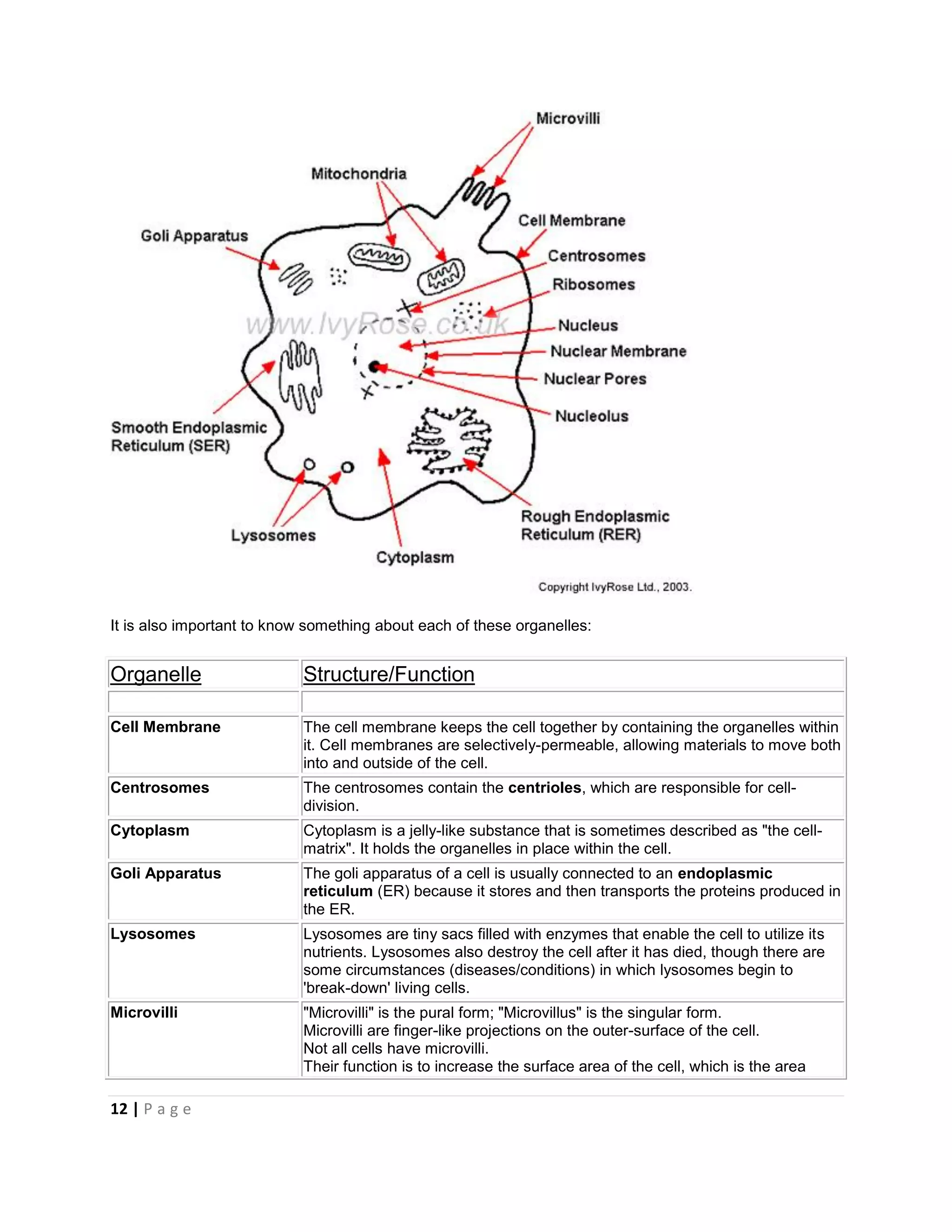 The human body text | PDF