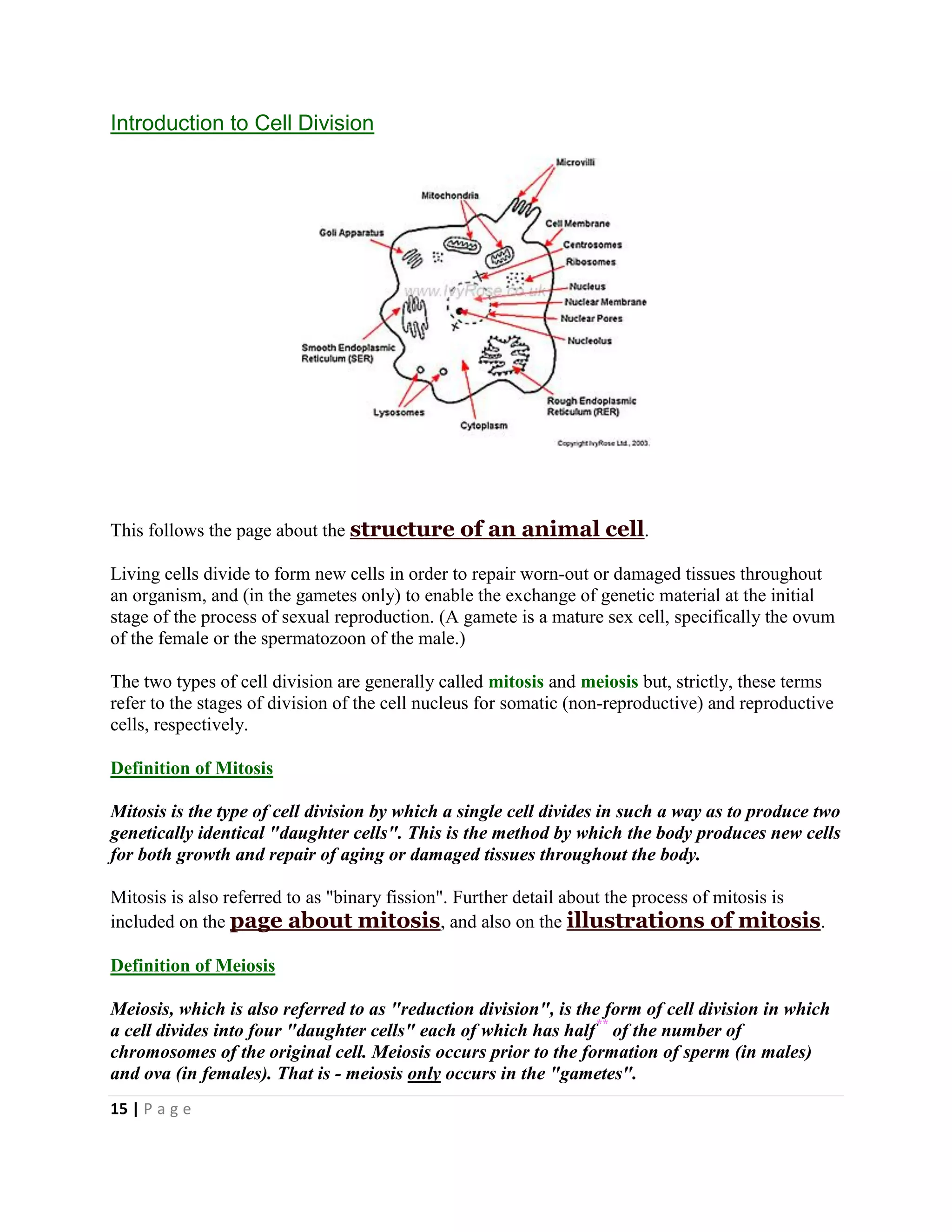The human body text | PDF | Chemistry | Science