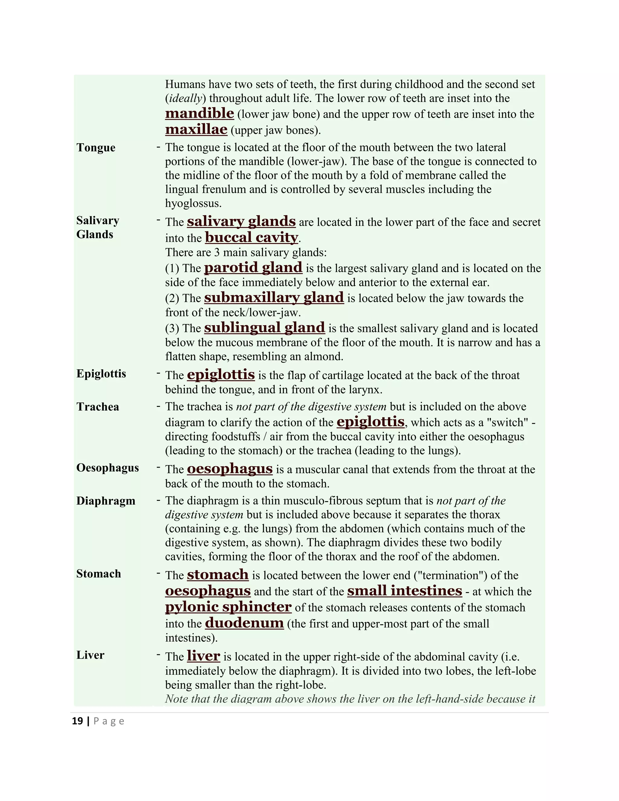 The human body text | PDF | Chemistry | Science