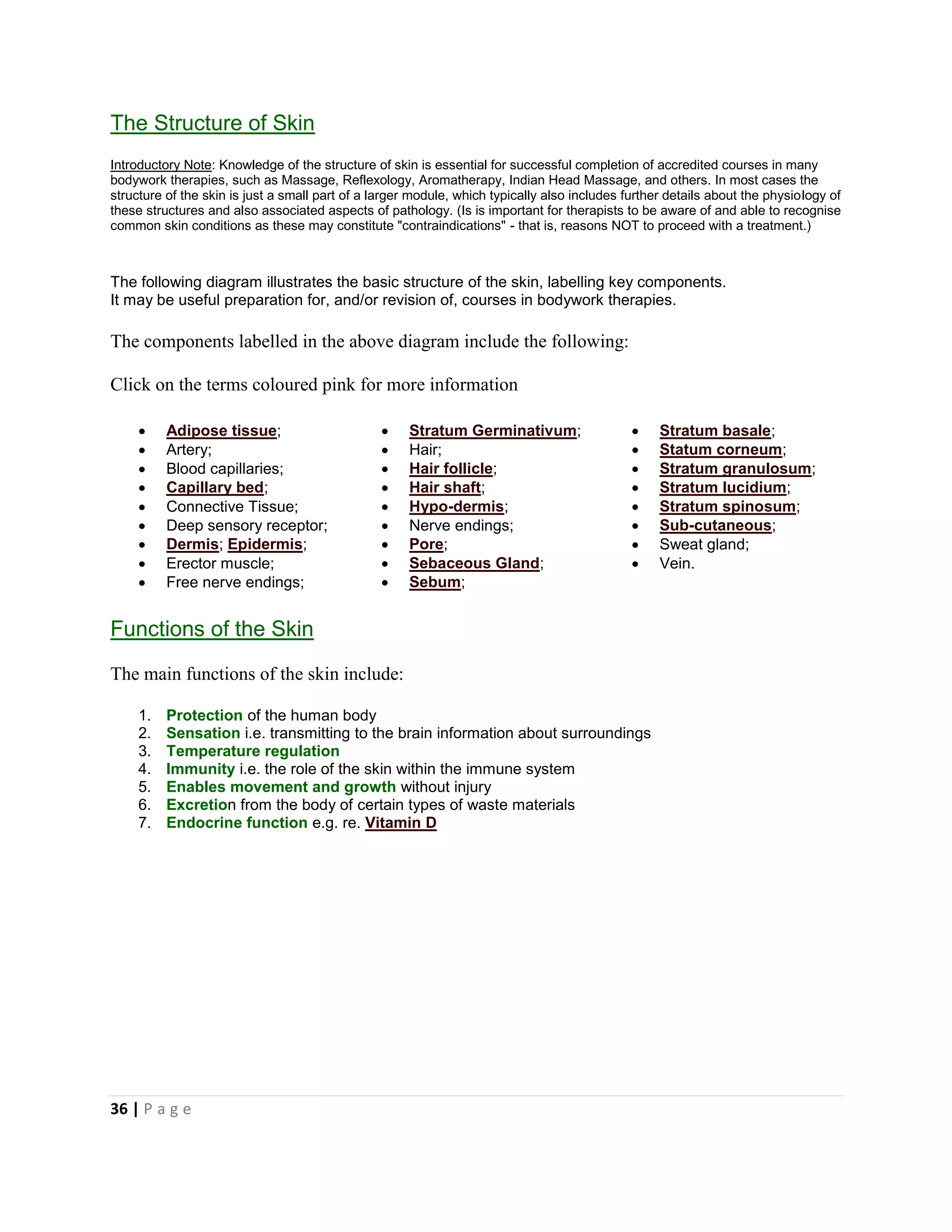 The human body text | PDF