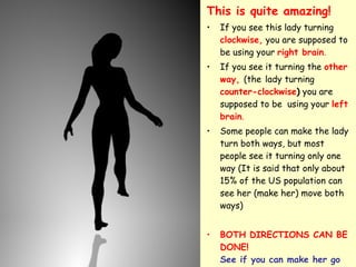 The human brain | PPT