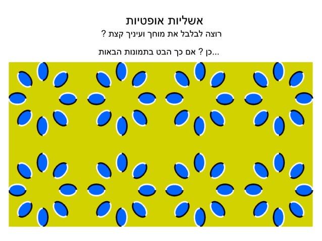 Perception Tricks | PPT