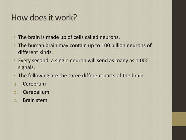 The Human Brain | PPT