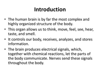 The human brain | PPTX