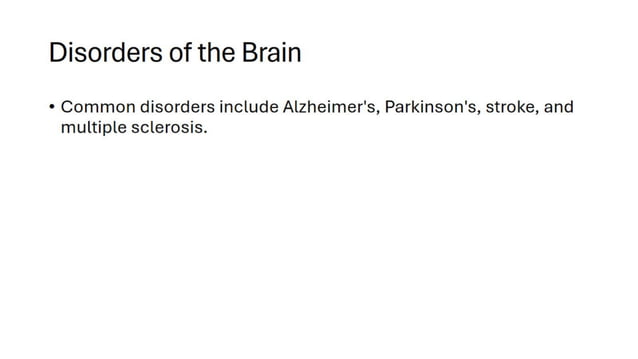 The Human Brain powerpoint presentation.pptx