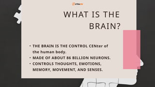 The Human Brain: Amazing Facts & Mysteries Uncovered | PPTX