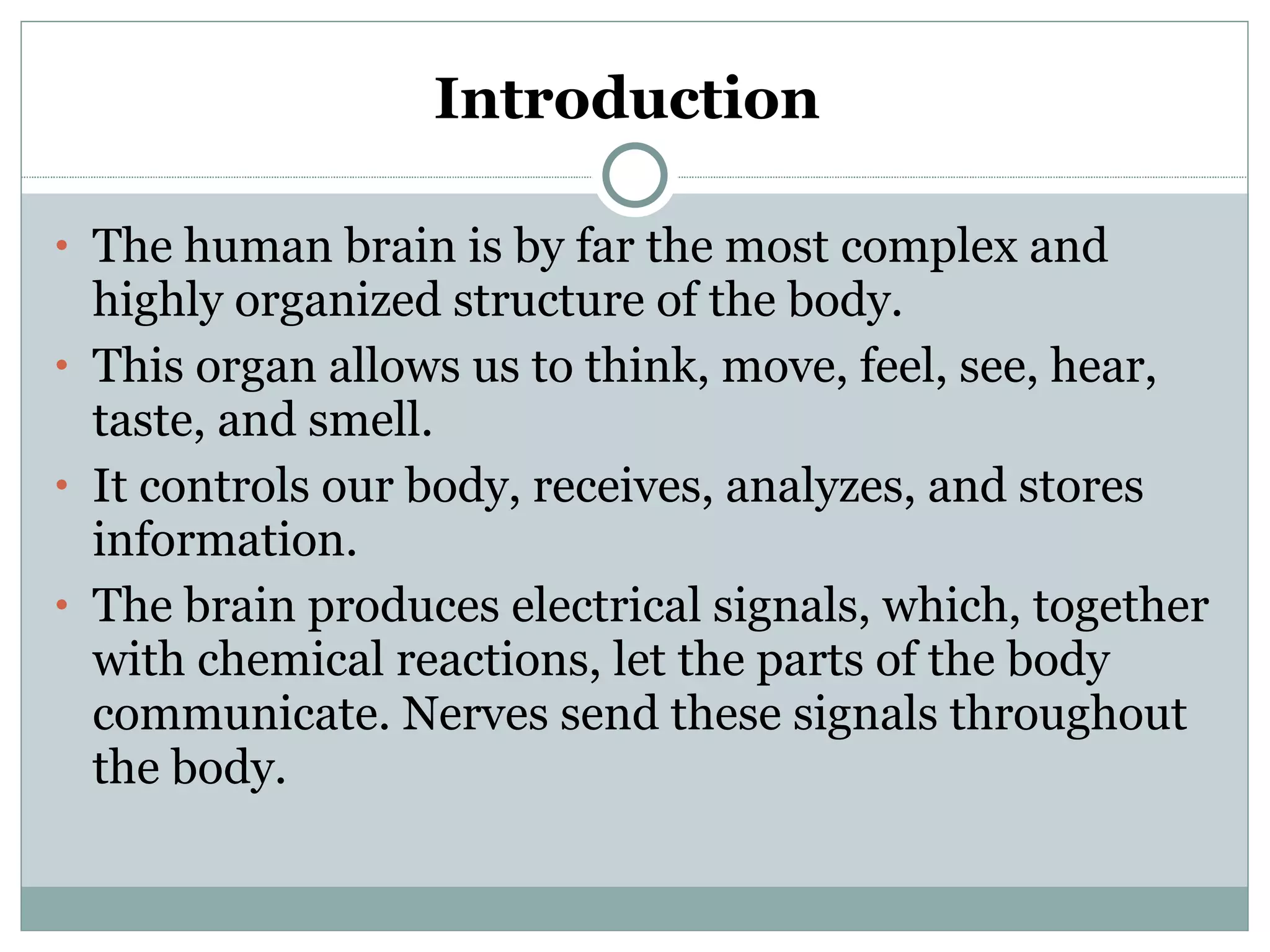 The human brain presentation | PPT