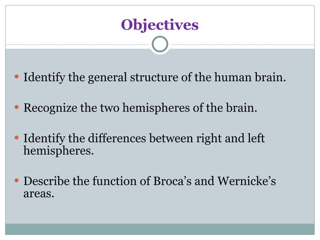 The human brain presentation | PPT