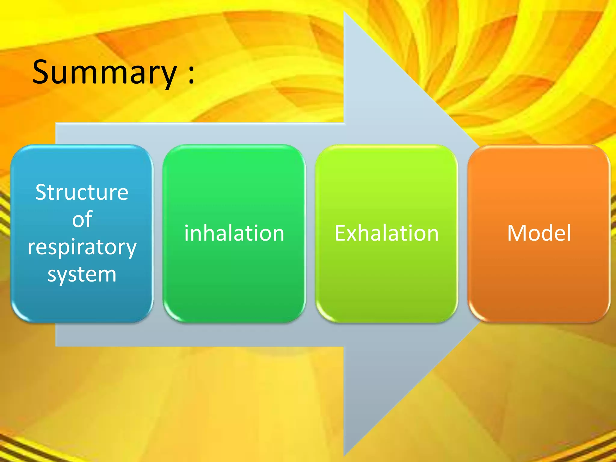 The human breathing mechanism | PPTX