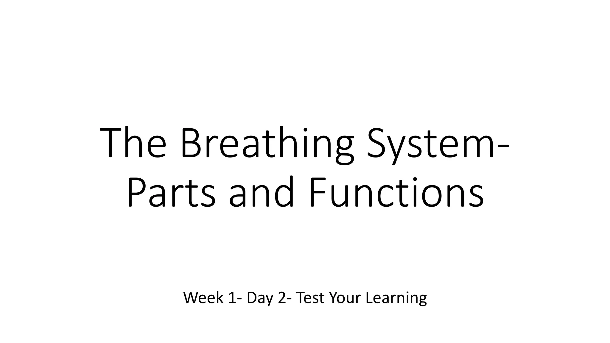 The human breathing and circulatory syst | PPTX