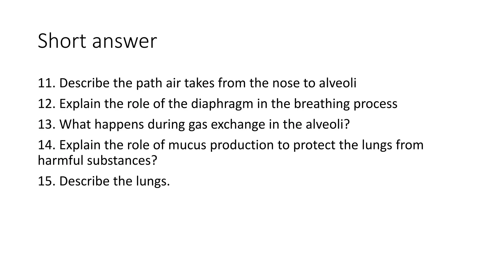 The human breathing and circulatory syst | PPTX