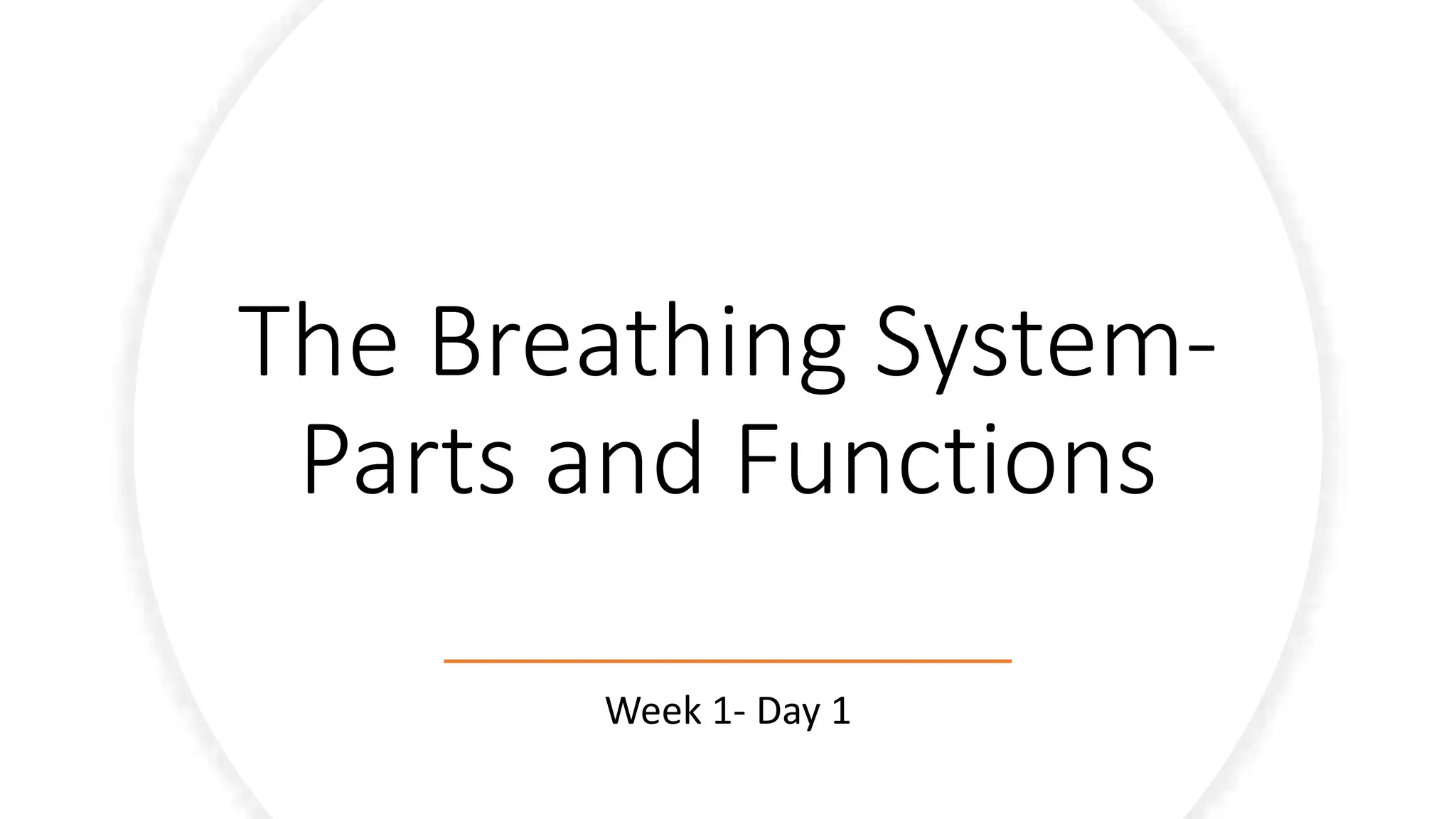 The human breathing and circulatory syst | PPTX