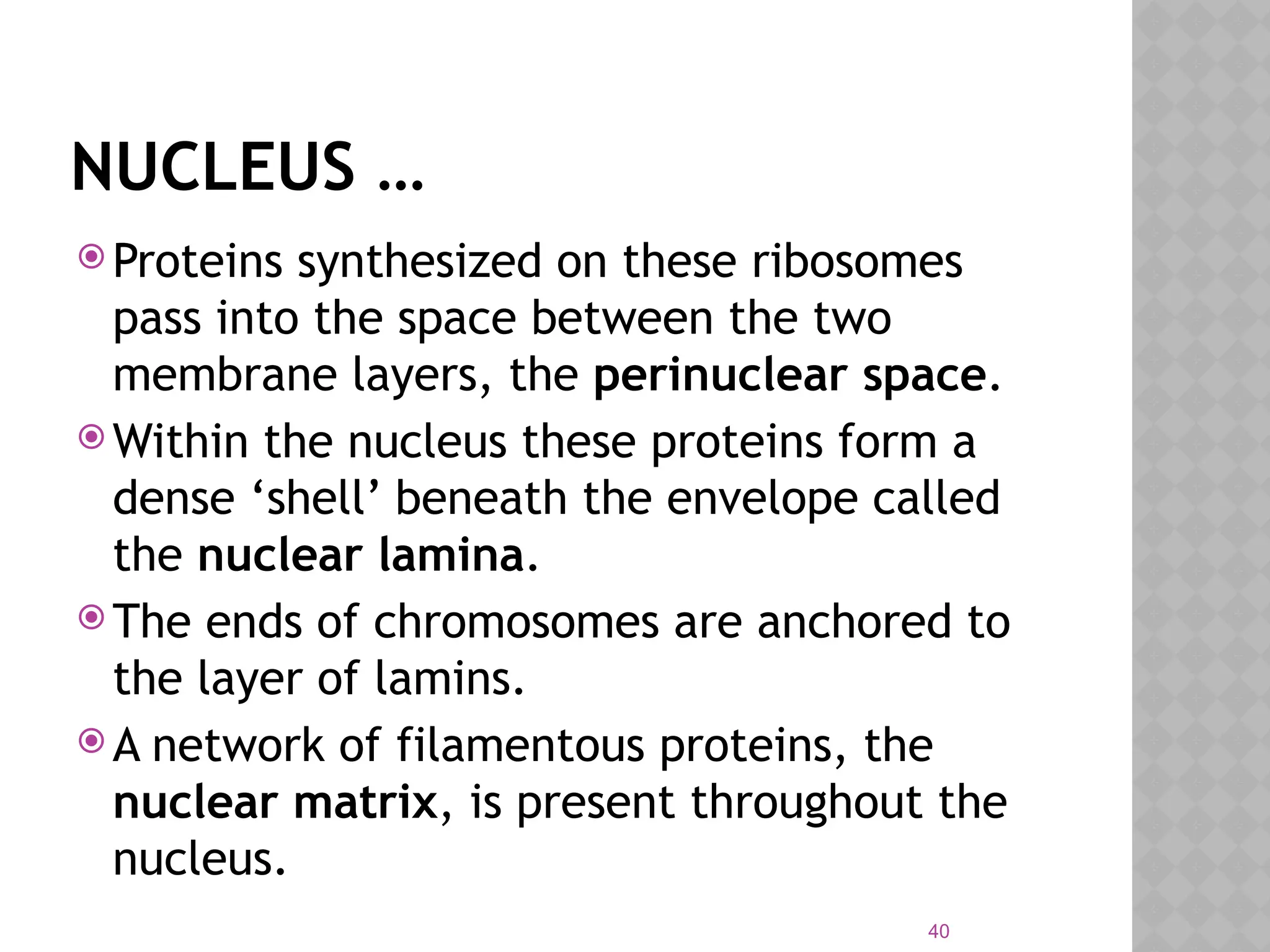 The Structure of the human cell and functions | PPT