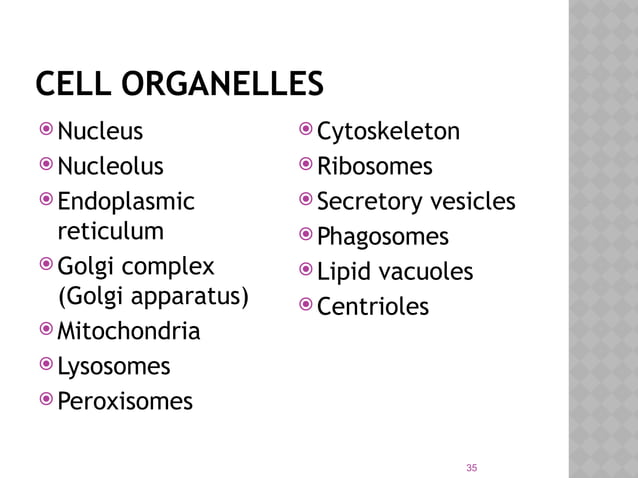 The Structure of the human cell and functions | PPT